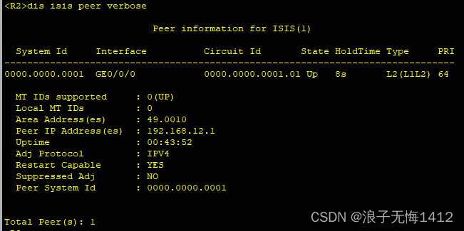 display查看命令_dis int link-info-CSDN博客
