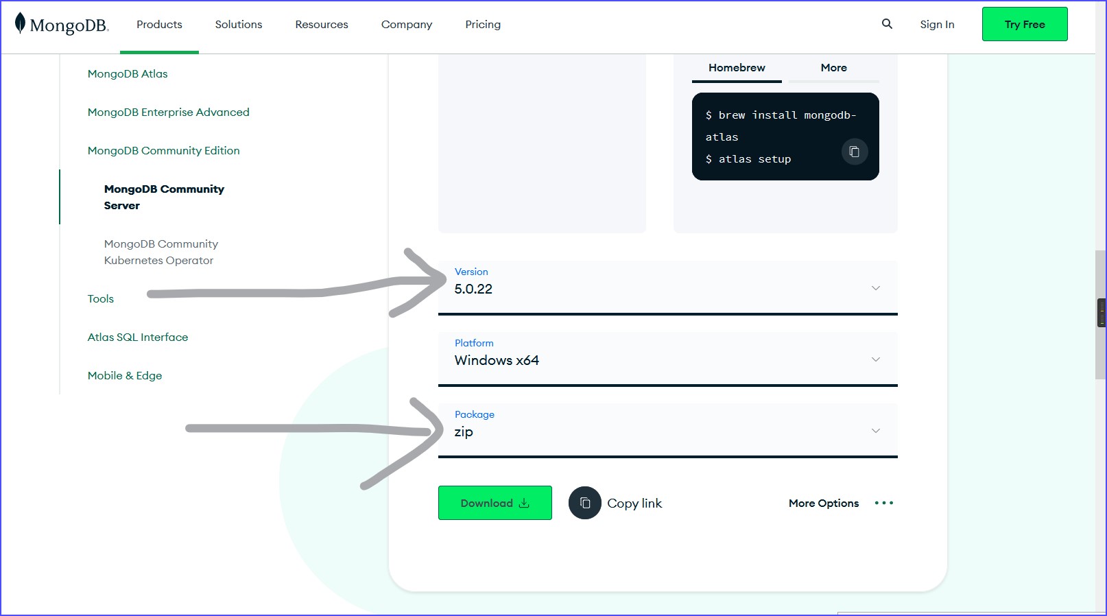 MongoDB5.022的安装_mongodb5.0.22-CSDN博客