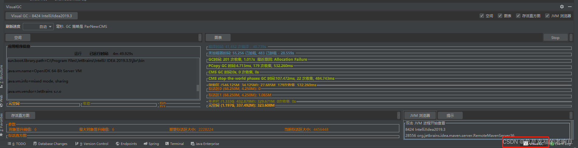 IDEA强大的VisualGCC插件_idea visualgc怎么用-CSDN博客