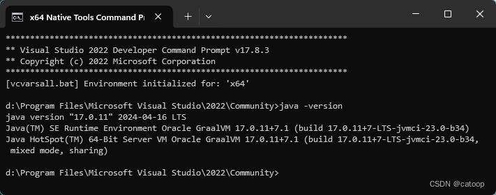 Java Swing 桌面程序使用 Graalvm 封装为 Exe 文件进行native化graalvm Swing Csdn博客