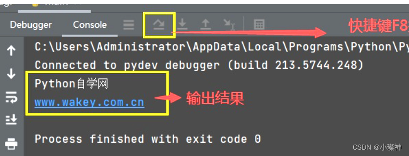 Debug教程-CSDN博客