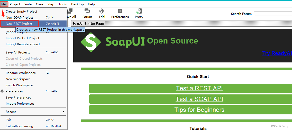 SoapUI安装与配置教程：从基础到接口调用与解决常见问题,-CSDN博客