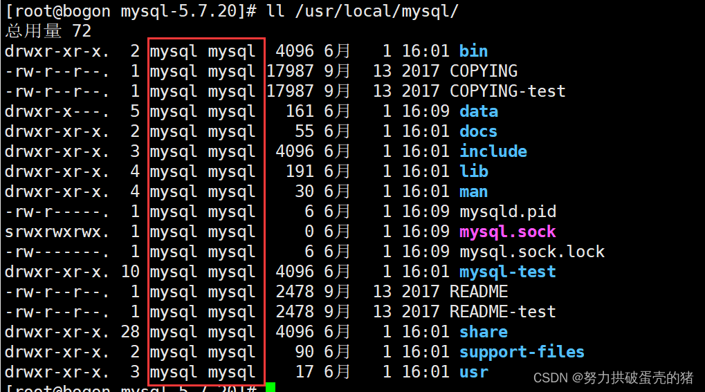 基于Nginx搭建LNMP_lnmp nginx nginx1.24-CSDN博客