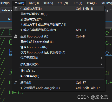 Hello! protobuf——编译与安装（c++版）_windows protoc c++安装-CSDN博客