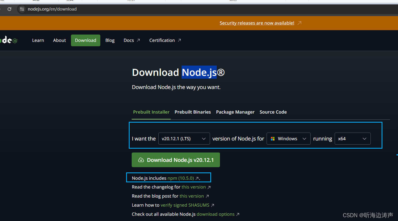 npm的安装_node20.12.1安装包-CSDN博客