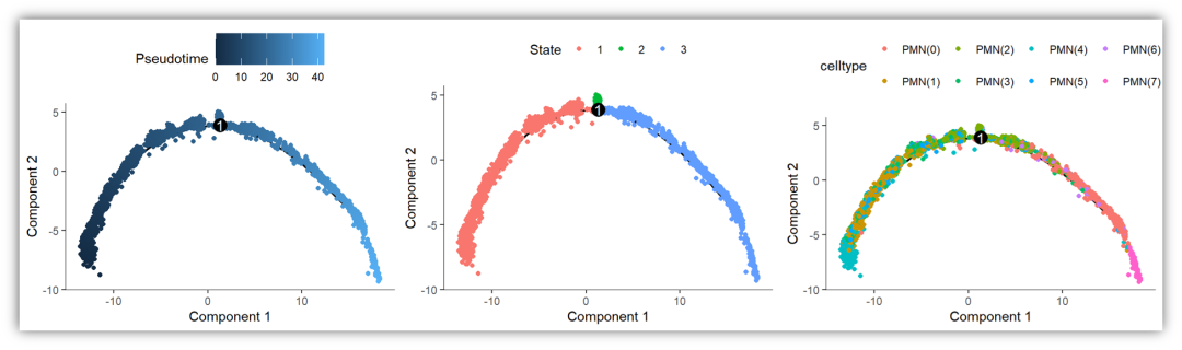 ggplot2个性可视化monocle2结果_monocle2结果解读-CSDN博客