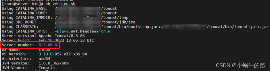 Linux中，查看Tomcat版本、如何查看Tomcat版本_linux查看tomcat版本号-CSDN博客