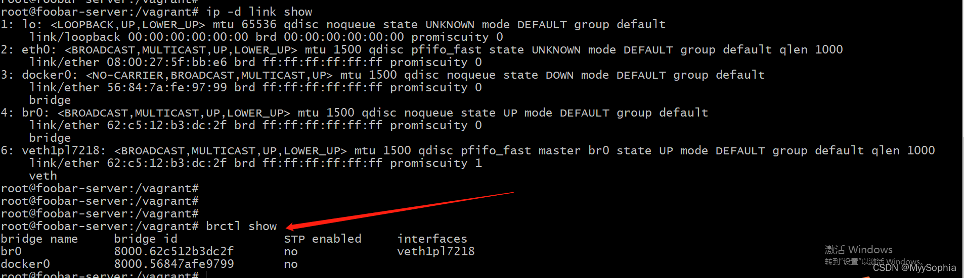 宿主机上docker0 Linux 网桥设备是怎么来的？_lldp docker0-CSDN博客