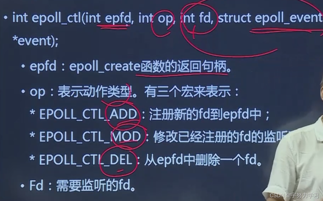 Linux网络编程：select与epoll的比较与实践-CSDN博客