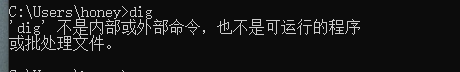 Windows10 下安装 dig 命令的步骤（一）_windows dig-CSDN博客