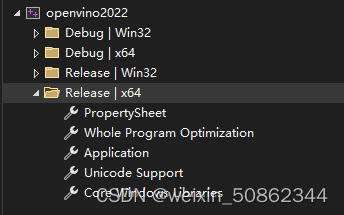 【部署】openvino环境配置_openvino2023 动态输入-CSDN博客