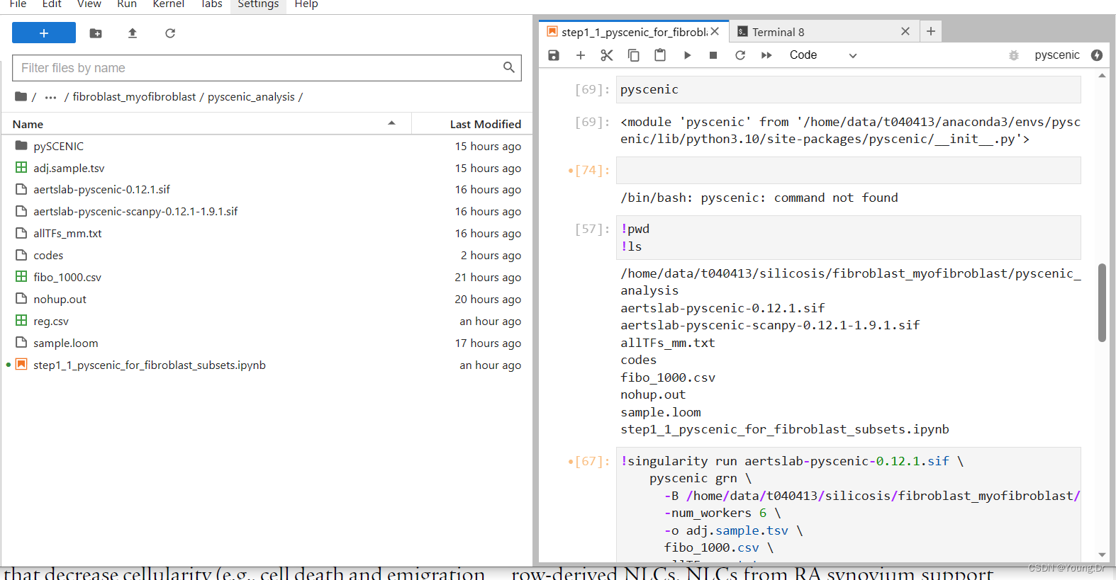 pyscenic 运行实例实战 jimmy服务器 pyscenic原理解析 如果报错就去github搜索办法自己的样本转录因子分析-CSDN博客