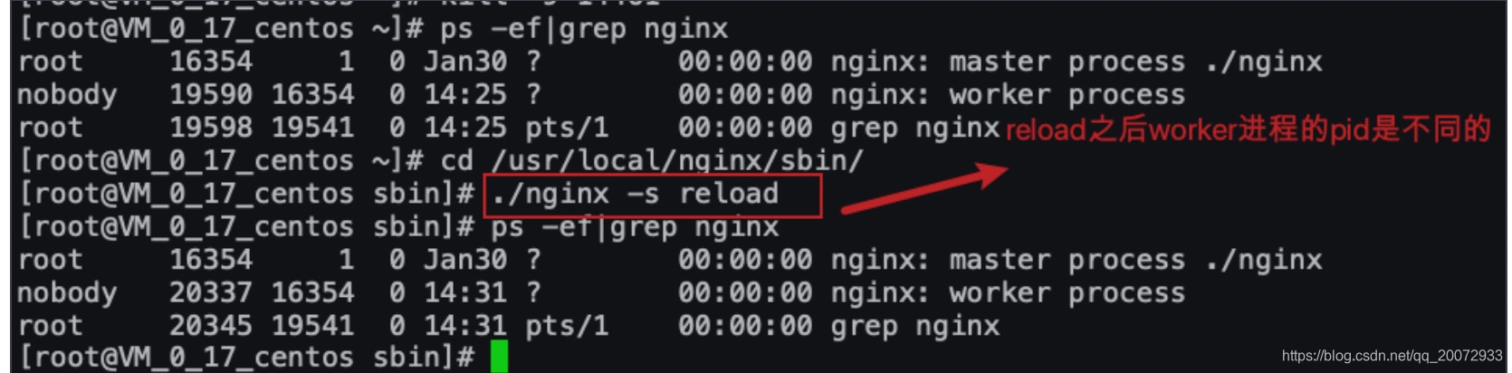 Nginx底层进程机制剖析_来了 个请求 nginx 的master和worker谁去处理-CSDN博客
