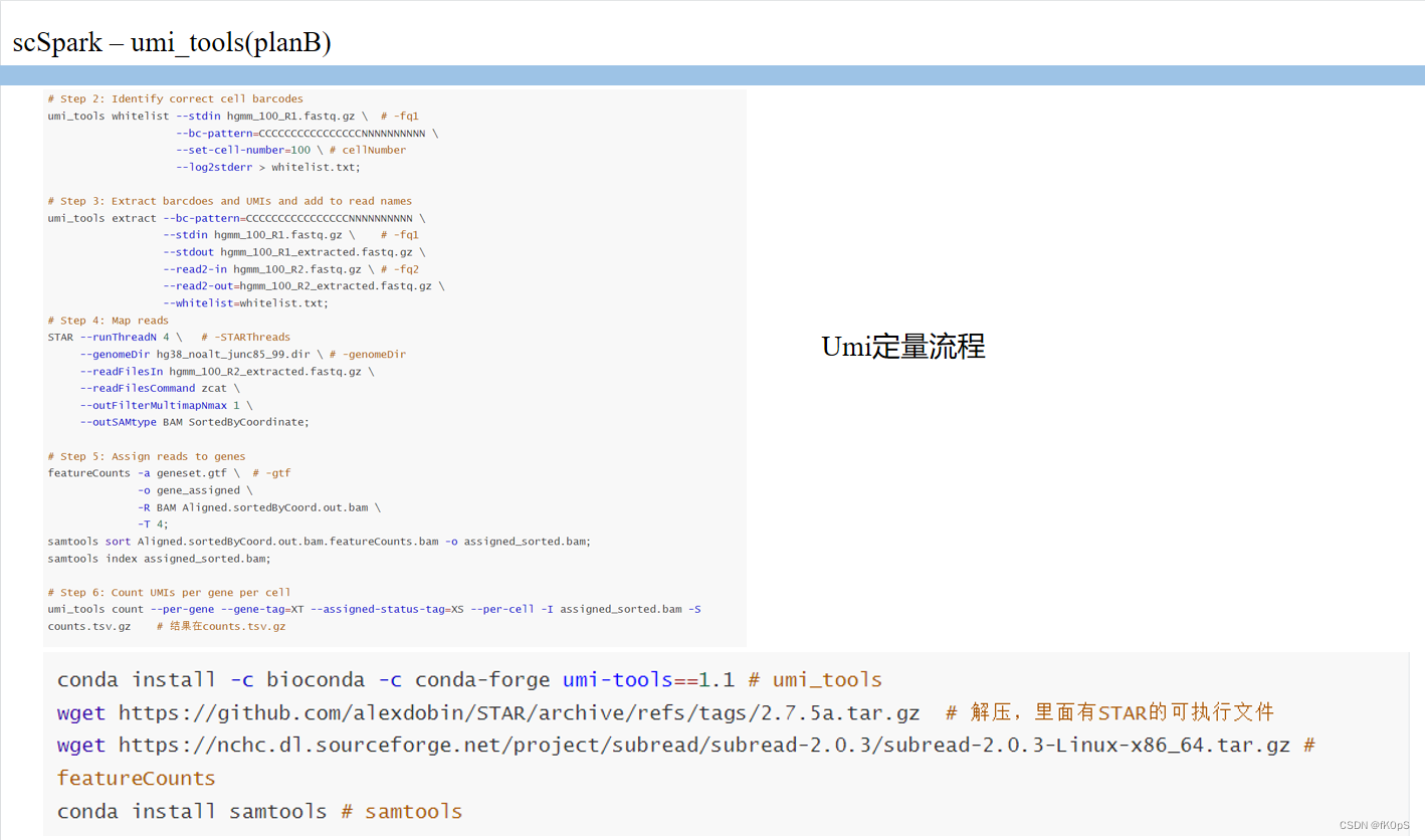 如何使用umi-tools，从fastq文件，得到表达谱矩阵-CSDN博客