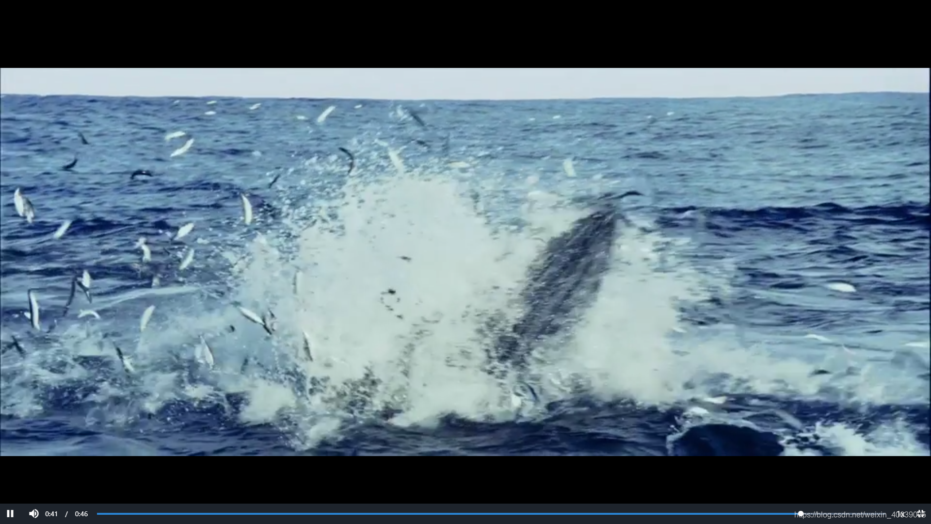 Vue2之视频播放插件vue-video-player（兼容多种方式）_Vue2-CSDN专栏