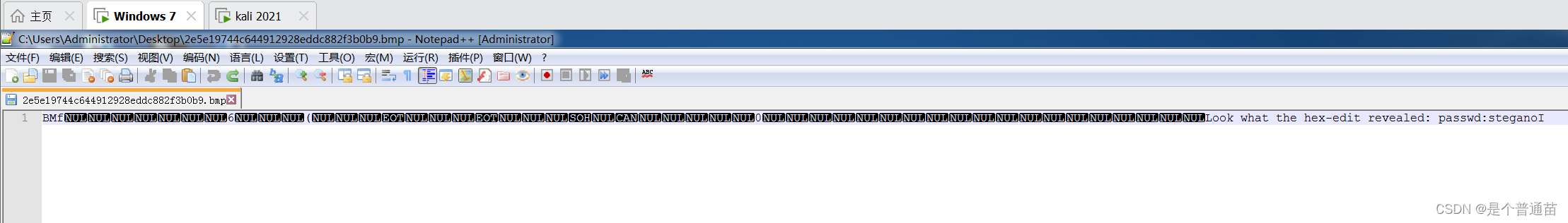 【攻防世界-misc】Training-Stegano-1-CSDN博客