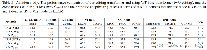 Instruct-ReID-CSDN博客