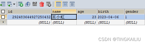 hibernate自定义主键生成策略（利用雪花算法生成主键id）_hibernate 自定义id生成-CSDN博客