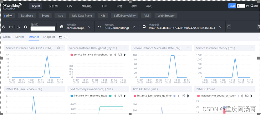 skywalking java agent集成-CSDN博客