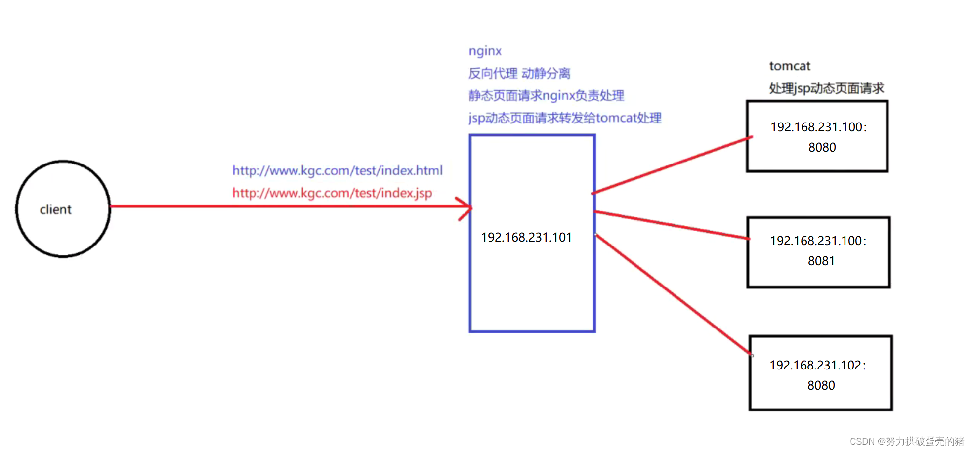 Nginx+Tomcat实现负载均衡、动静分离_tomcat nginx-CSDN博客