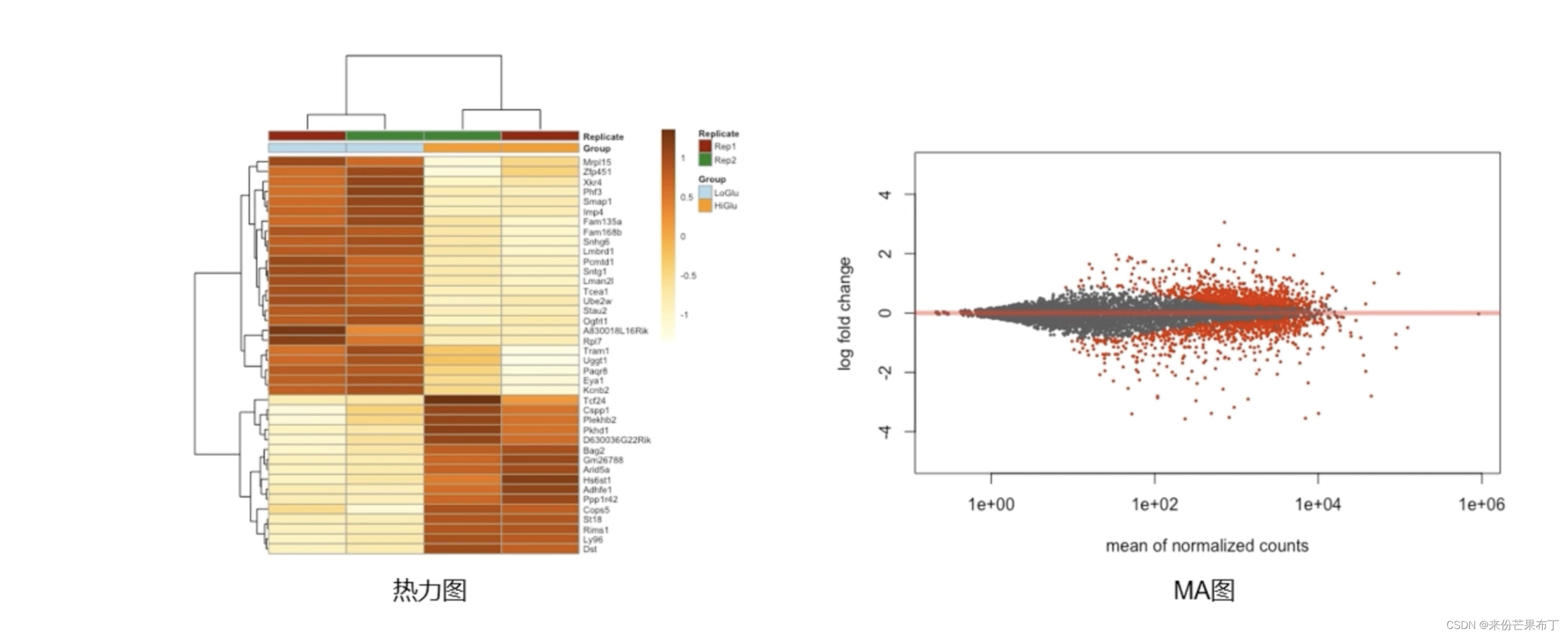RNA-seq分析流程：从质控到差异表达,-CSDN博客