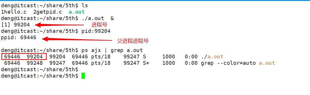 Linux系统编程-进程（三）：进程号、获取进程号函数【getpid()：获取本进程号（PID）】【getppid()：获取父进程号（PPID）】【getpgid()：获取进程组号（PGID ...
