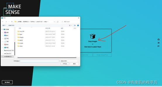 MakeSense在线工具：视频教程解说YOLOv5标注实践与数据组织-CSDN博客