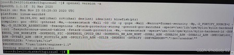 麒麟KylinV10离线安装Openresty_openresty 离线安装-CSDN博客