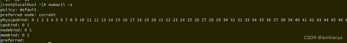 numactl命令详解：管理和优化NUMA架构下的进程内存分配-CSDN博客