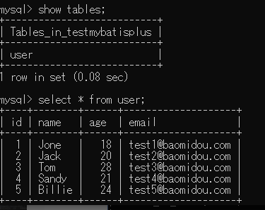 MybatisPlus的使用和Wrapper（QueryWrapper and UpdateWrapper）_mybatisplus updatewrapper-CSDN博客