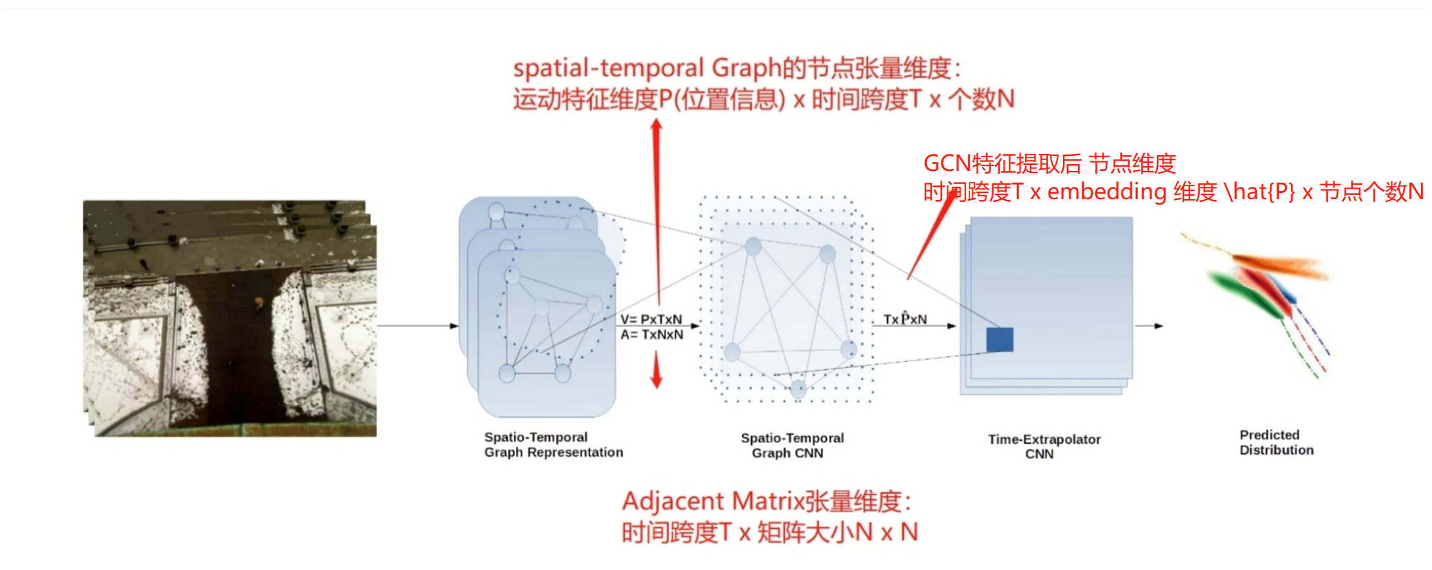 [论文阅读笔记24]Social-STGCNN: A Social Spatio-Temporal GCNN for Human Traj ...