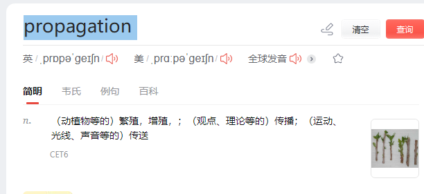 Spring事务的传播行为_setpropagationbehavior-CSDN博客