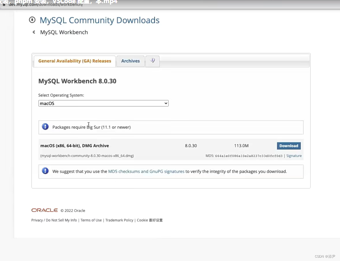 安装指南：NodeJS, pnpm, VSCode 与 MySQL-CSDN博客