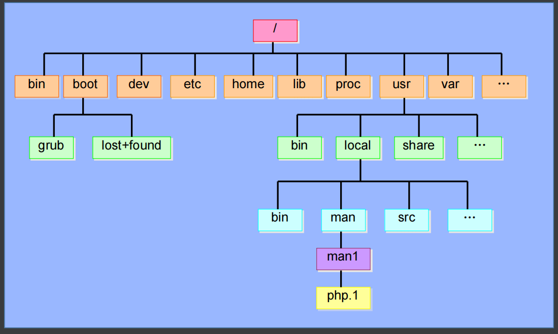 linux系统的基本介绍和使用（ubnutu版本）_linux u-CSDN博客