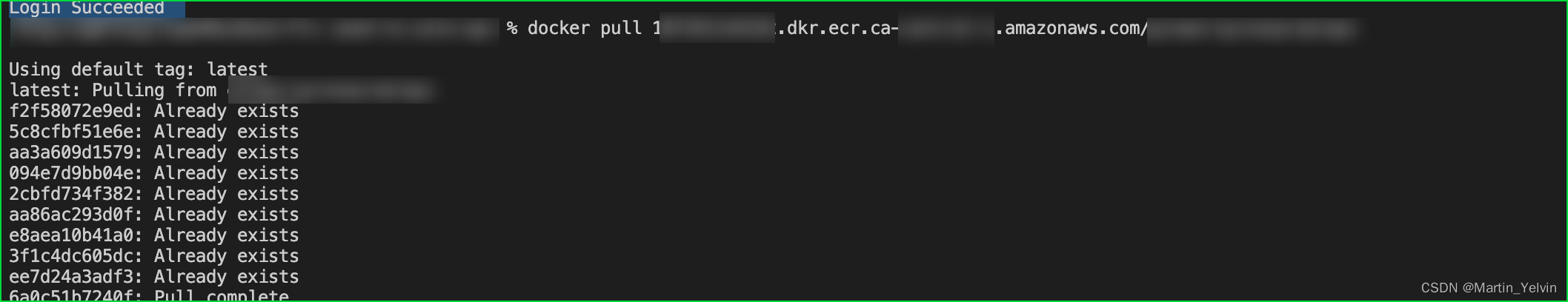 docker push/pull aws ecr 镜像_aws ecr push-CSDN博客