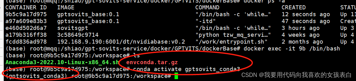 python将conda环境打入docker环境中_conda docker-CSDN博客