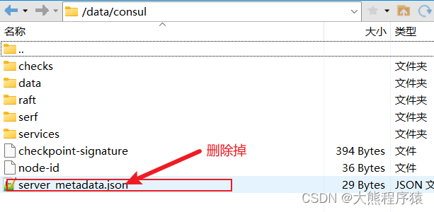 consul启动Error_server_rejoin_age_max (168h0m0s) - consider wiping your data dir_refusing to ...