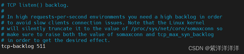 [REDIS]redis的一些配置文件-CSDN博客