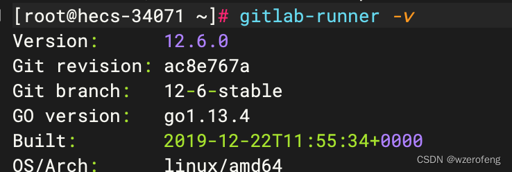 gitlab-Runner搭建_gitlab16.7新建runner-CSDN博客