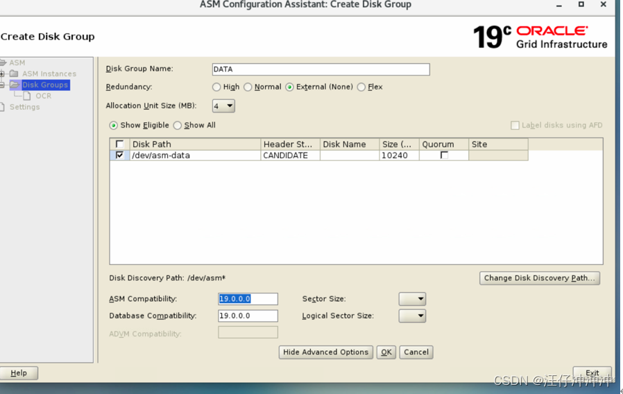 oracle 19c rac搭建详细攻略_oracle19c数据库实例-CSDN博客
