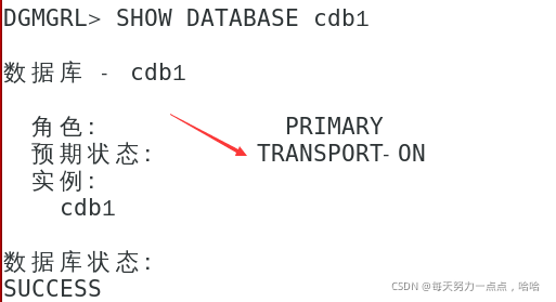 Data Guard (DGMGRL常用命令)_show database verbose-CSDN博客