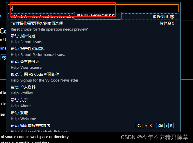 如何查看vscode打开的当前项目有多少行代码vscode统计代码行数 Csdn博客 1102