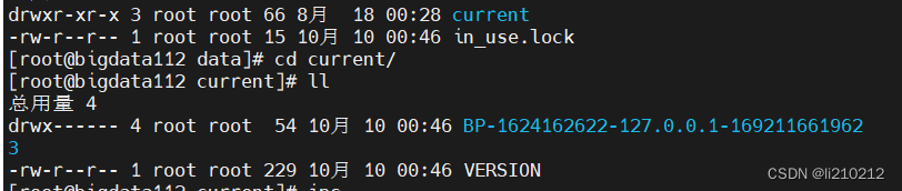 Hadoop报错之---java.io.IOException: All specified directories are failed to load_java.io ...