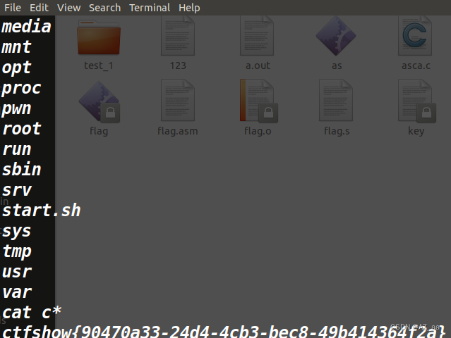 ctfshow pwn17-18-CSDN博客