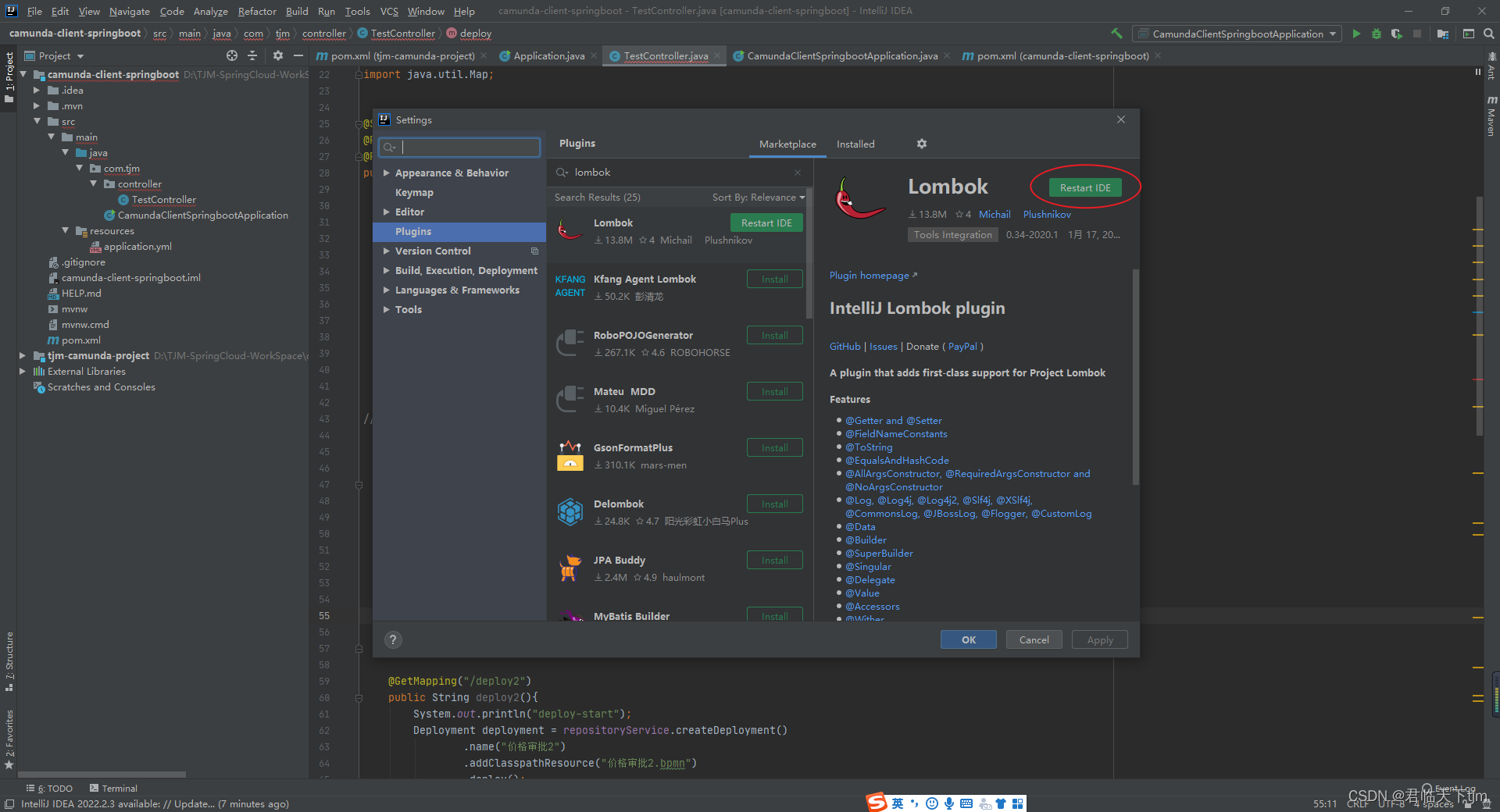 Idea中创建springboot项目，添加lombok依赖，@Slf4j注解报错“Cannot resolve symbol ‘log‘”_cannot resolve symbol ...