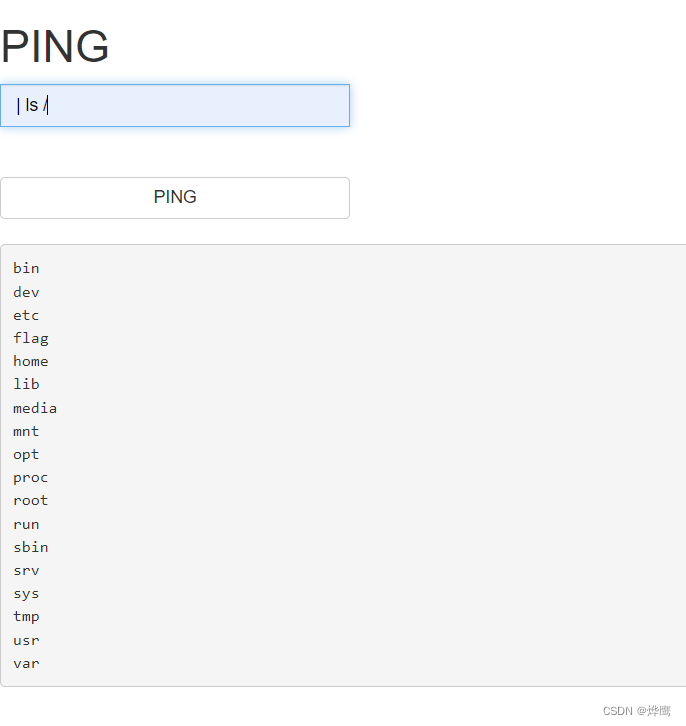 [ACTF2020 新生赛]Exec-CSDN博客