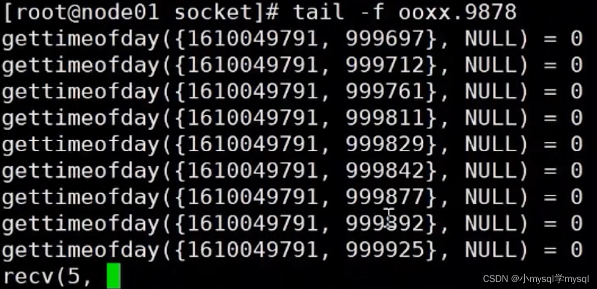BIO与NIO详解-CSDN博客