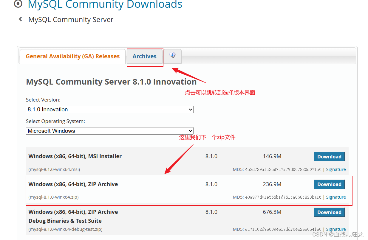 【Java】mysql下载，解压安装_java 开发mysql下载-CSDN博客