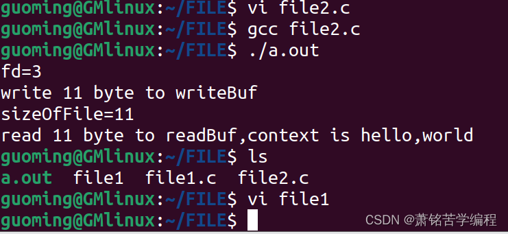 write(),read(),lseek()综合-CSDN博客