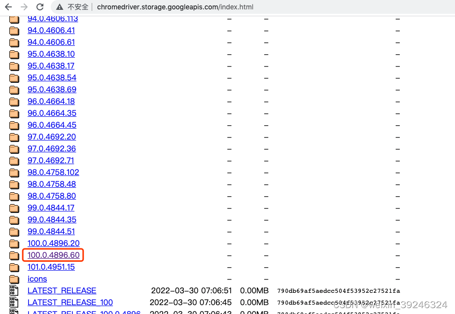 mac配置chromedriver-CSDN博客